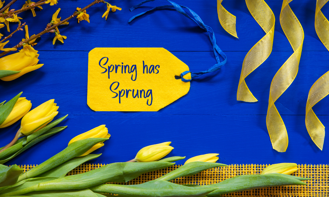 Time for Spring Training! Spring Has Sprung! - Graff Retail